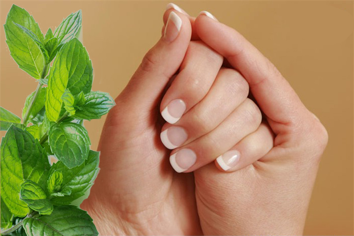 Peppermint Sea Twist Manicure - Brazilian Waxing Center.Spa Services In ...